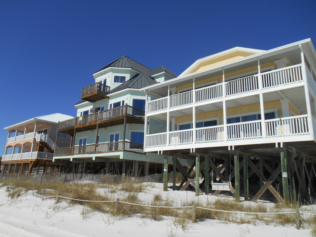 Postcards From Florida - The Flying Mantis